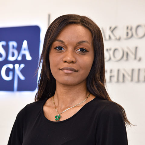 The Team - SBAGK LLP